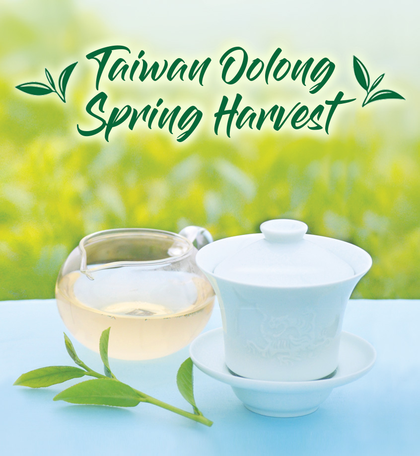 Taiwan Oolong Spring Harvest 2023 | LUPICIA Australia