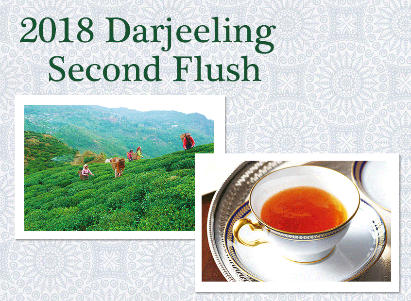 Darjeeling Second Flush Teas 2018 | LUPICIA Australia