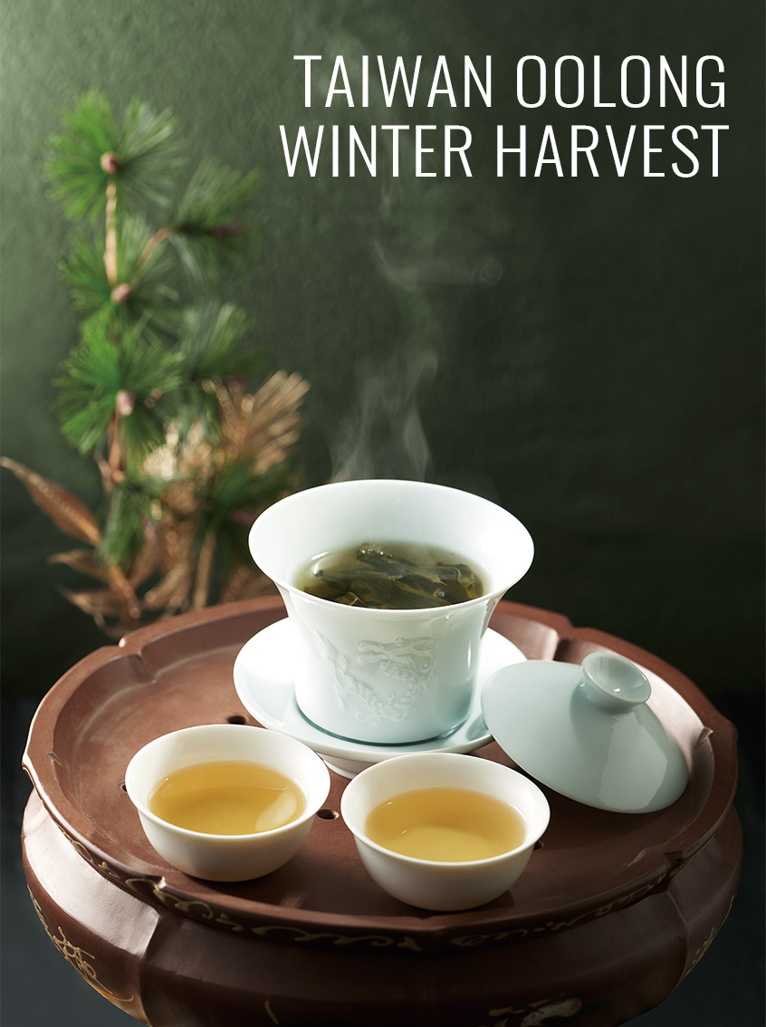 Taiwan Oolong Winter Harvest 2023 | LUPICIA Australia